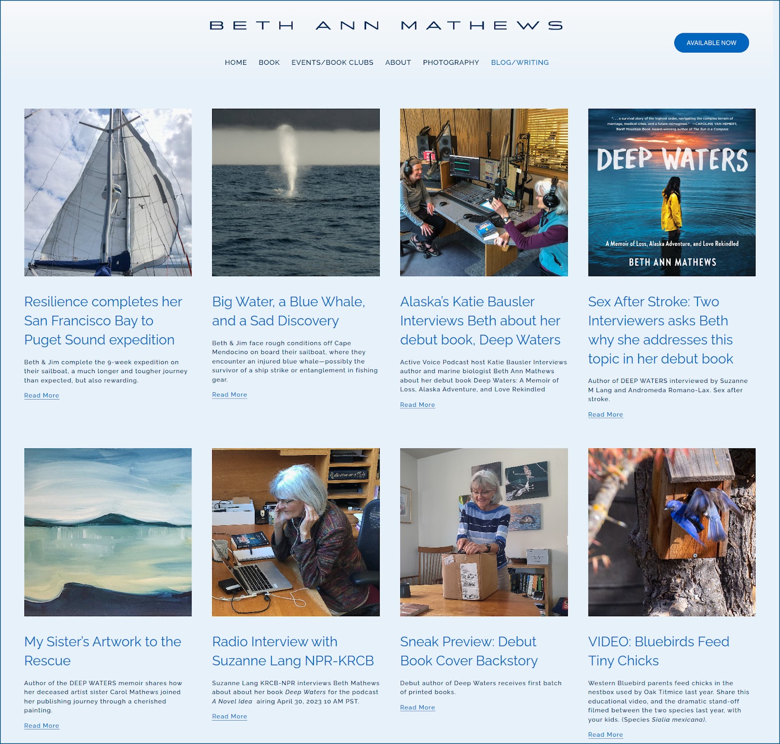 How to Build an Author Website from Scratch (Live Examples)